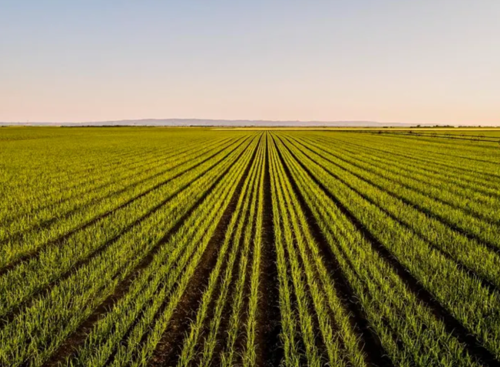 UK Agriculture: The Role of Technology and Tradition in Modern Farming ...